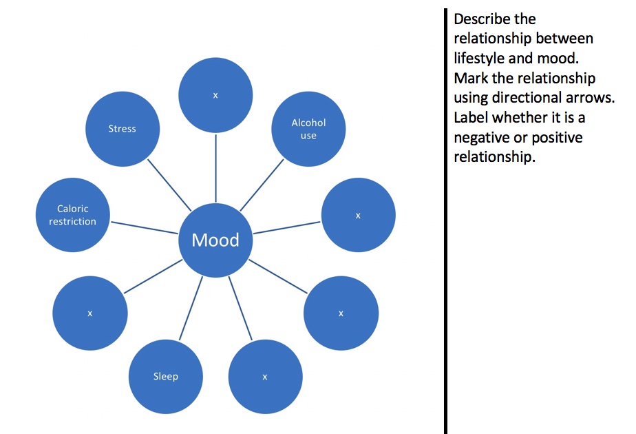 Concept Map